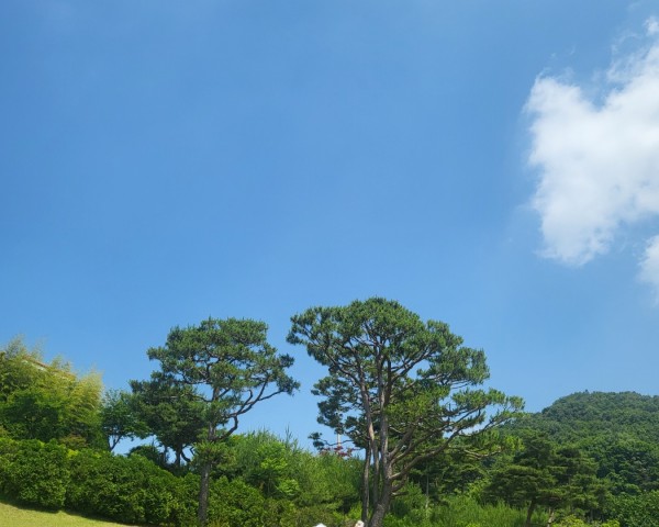 대한주니어골프협회(JGAK)