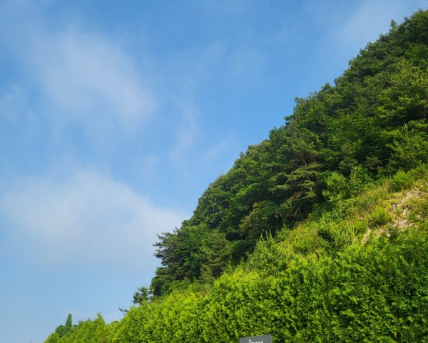 대한주니어골프협회(JGAK)